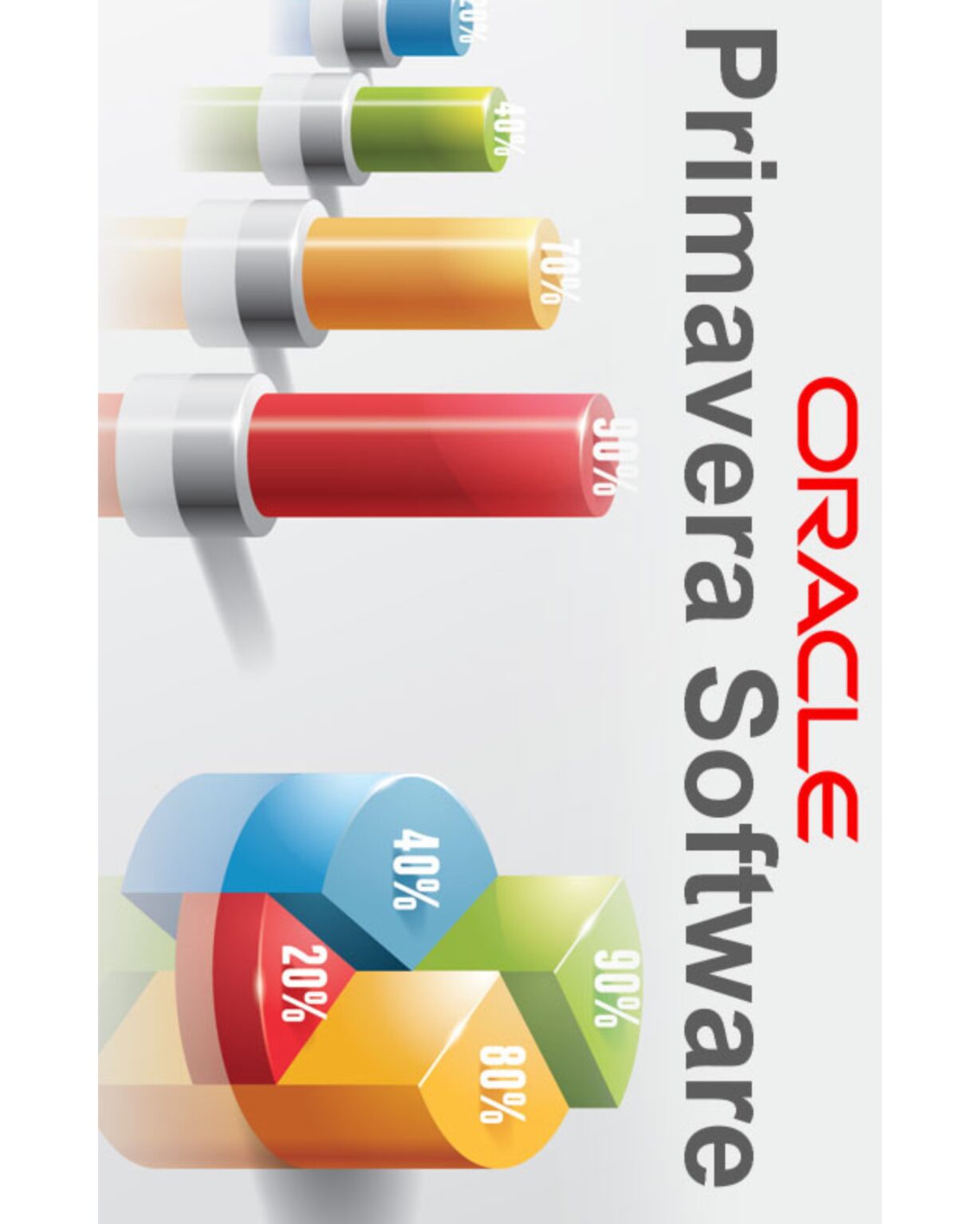 PRIMAVERA COURSE IN JAIPUR - Thirdeye Computer Classes