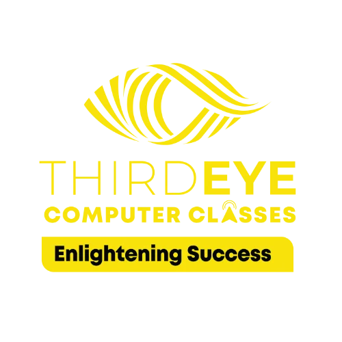 Company - Thirdeye Computer Classes